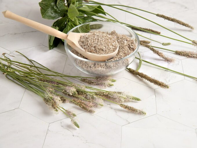 Senes – kiedy stosować, jak działa i jakie ma skutki uboczne – Zdrowie ...