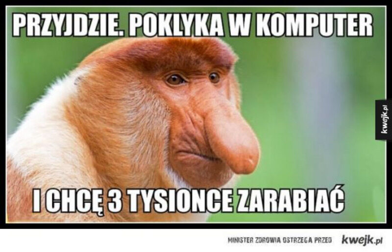 Mem o informatykach - galeria zdjęć