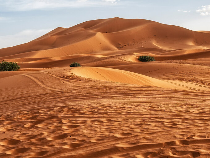 Ten akwen jest jak „pływający las deszczowy”. Mówią o nim „szósty ocean ...