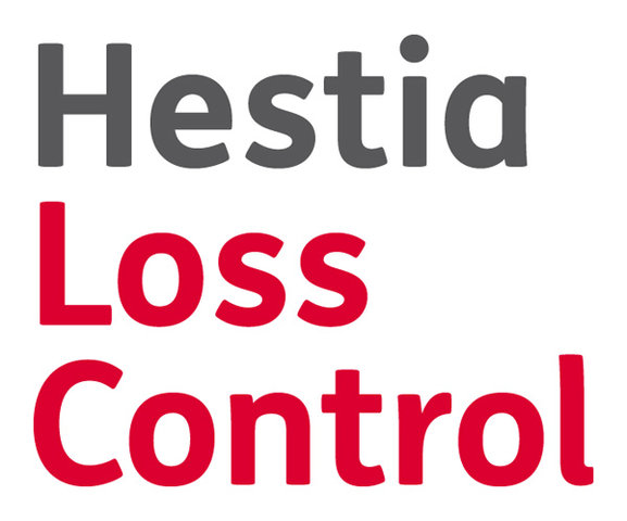 Hestia Loss Control partnerem HSB Engineering Insurance Limited ...
