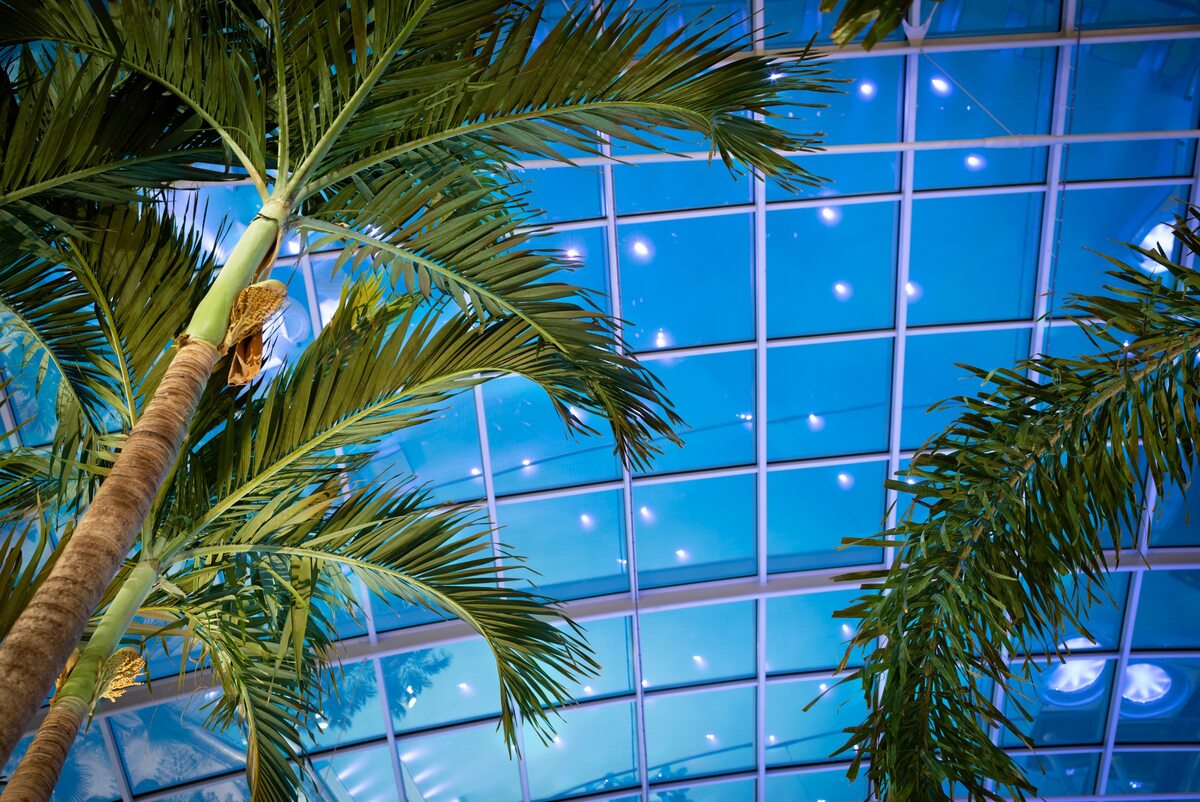 Suntago - galeria zdjęć