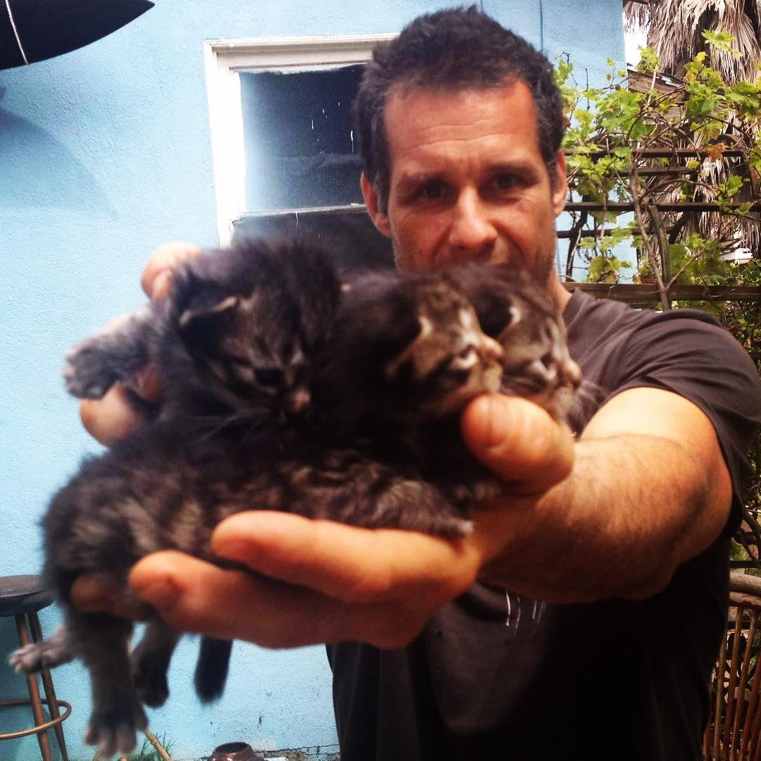 Gary Golding - galeria zdjęć