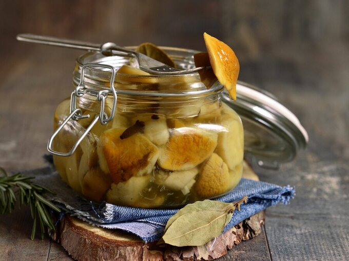 Opieńki – jak je rozpoznać? Do czego wykorzystać te grzyby ...