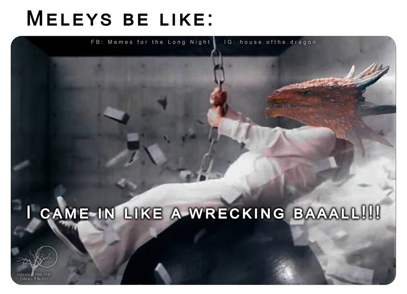 Mem z 9. odcinka serialu „Ród smoka” - galeria zdjęć