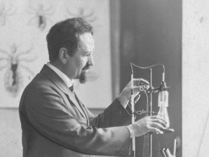 Tyfus plamisty – objawy, leczenie, powikłania – Zdrowie Wprost