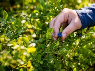 Lamblioza – przyczyny, objawy, drogi zakażenia, rozpoznanie i leczenie ...