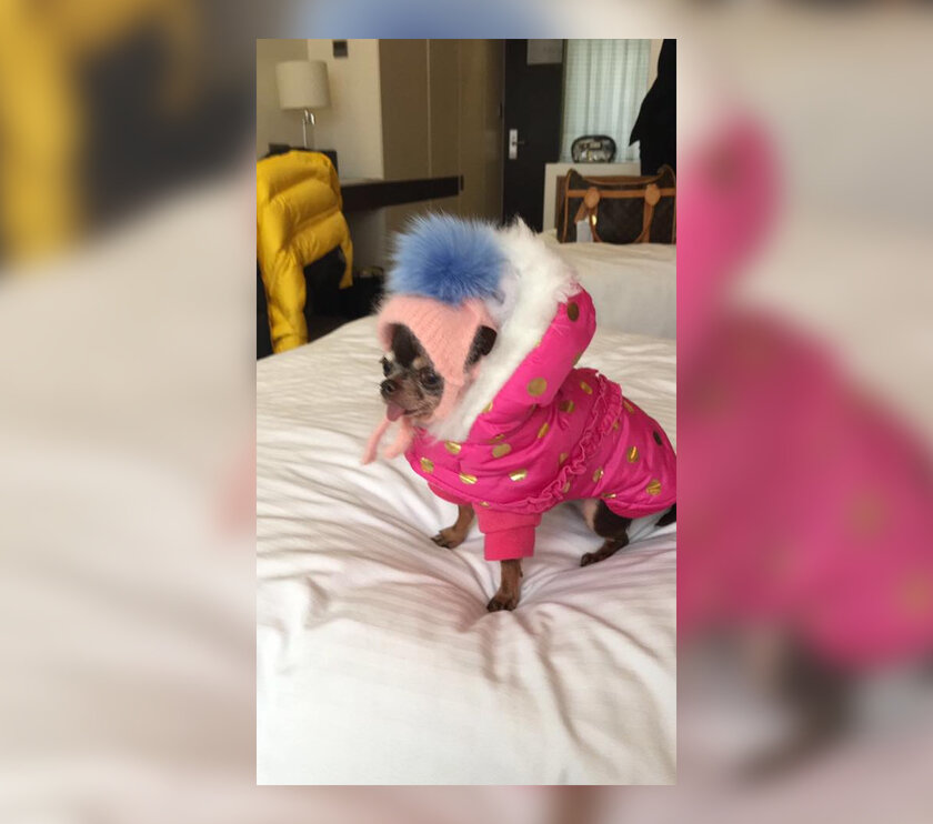 Miracle Milly - galeria zdjęć