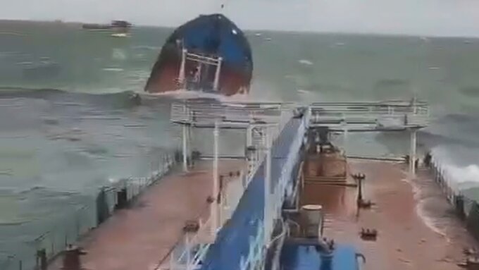 Katastrofa ekologiczna na Morzu Czarnym. Są nagrania zwierząt i plaż ...