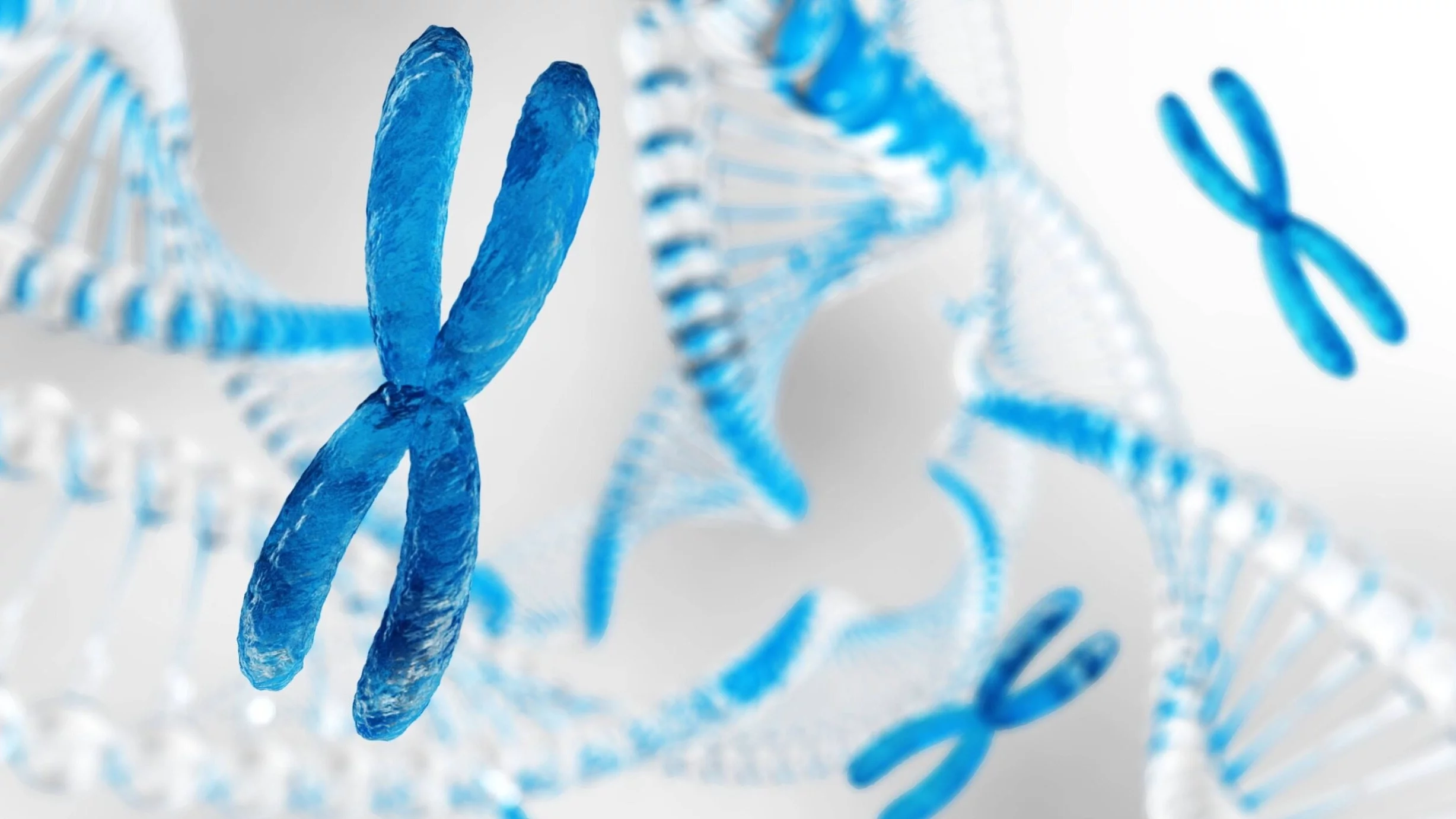 Ile chromosomów ma człowiek? Jakie choroby zmieniają ich liczbę ...