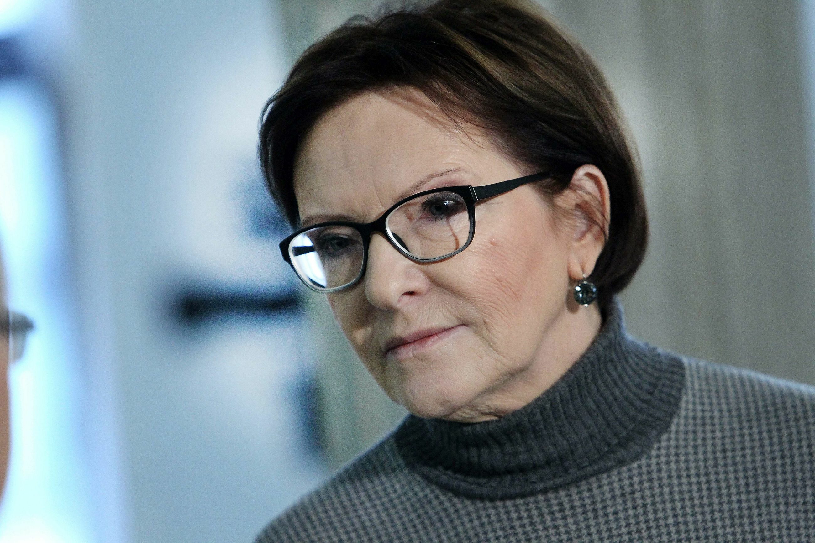 Kopacz i rzucanie kamieni w dinozaura. Co powiedziała była premier?