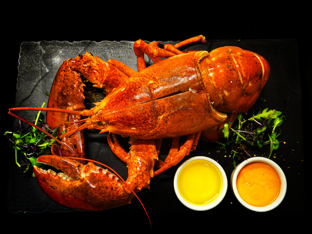 Homar prosto z wody