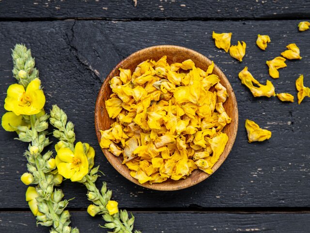 Narwij tych kwiatów teraz, a zimą sobie podziękujesz. Jak działa ...