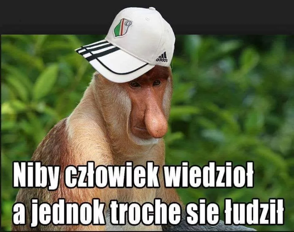 Legia Warszawa przegrywa dwumecz ze Spartakiem Trnawa. MEMY po meczu ...