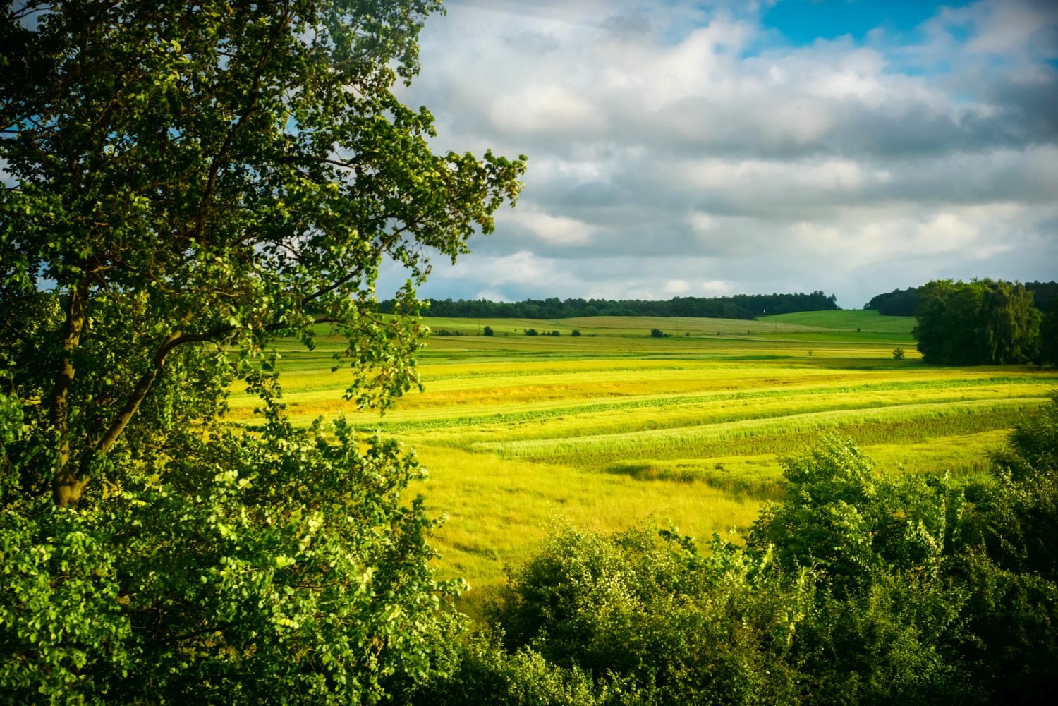 Ziemia i lasy. Wchodzą przepisy ogranicząjące handel